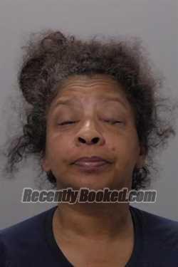 Recent Booking / Mugshot for TINA MARIE HALL in Allen County, Ohio