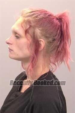 Recent Booking / Mugshot for ARIEL ELIZABETH GESSEL in Allen County, Ohio