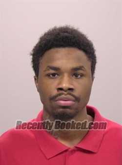 Recent Booking / Mugshot for Donya Damarcus Perkins in Allen County, Ohio