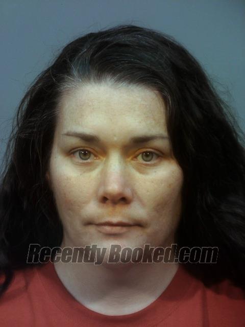 Recent Booking / Mugshot for HEIDI RENEE MILLER in Athens County, Ohio