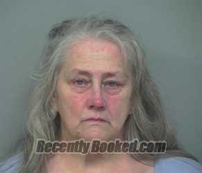 Recent Booking / Mugshot for NAOMI ELIZABETH BOYER in Athens County, Ohio