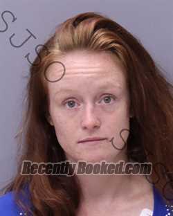 Recent Booking / Mugshot for MELANIE SUMMER HAWKINS in St Johns County ...