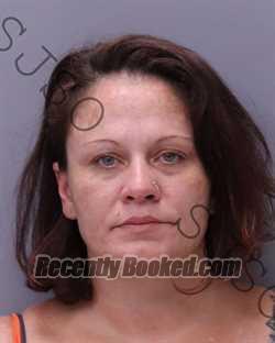 Recent Booking / Mugshot for AMY NICOLE BREWINGTON in St Johns County ...