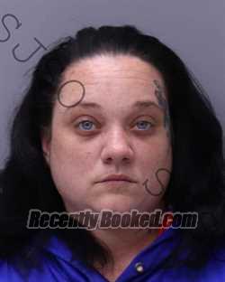 Recent Booking / Mugshot for CANDIS CHRISTA CLAY in St Johns County ...