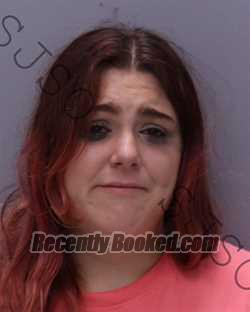 Recent Booking / Mugshot for ELIZABETH LYNN STAATS in St Johns County ...