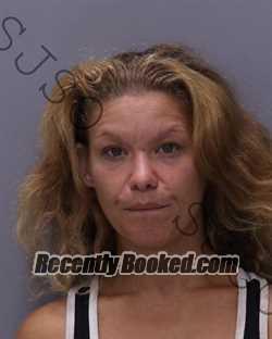 Recent Booking / Mugshot for HEATHER MARIE PILGRAM in St Johns County ...