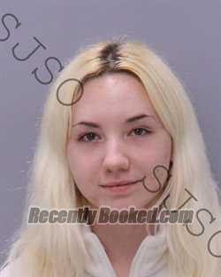 Recent Booking / Mugshot for ASHLEY NICHOLE DAVIS in St Johns County ...