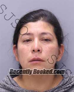 Recent Booking / Mugshot for ARACELI BUSTOS GUZMAN in St Johns County ...