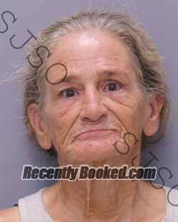 Recent Booking / Mugshot for CYNTHIA LYNN FRANKLIN in St Johns County, Florida