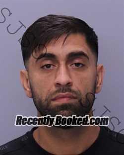 Recent Booking / Mugshot for AVRAM-VICA MATEI in St Johns County, Florida