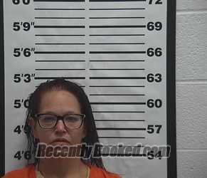 Recent Booking / Mugshot for Alicia Dawn Duerr in Belmont County, Ohio