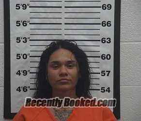 Recent Booking / Mugshot for Taylor Renea Leaniez in Belmont County, Ohio