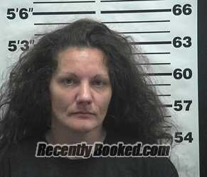 Recent Booking / Mugshot for Ashley Renee McManus in Belmont County, Ohio