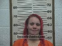 Recent Booking / Mugshot for Amanda Lee Sheets in Belmont County, Ohio