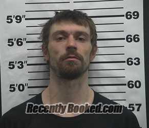 Recent Booking / Mugshot for Jesse D Britton in Belmont County, Ohio