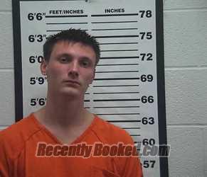 Recent Booking / Mugshot for Donavan Ross Lynn in Belmont County, Ohio