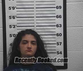 Recent Booking / Mugshot for MARIA MESSINA in Belmont County, Ohio