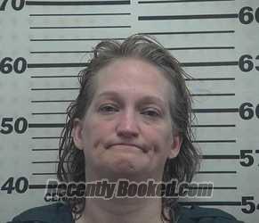 Recent Booking / Mugshot for SHELLY DENISE YECKLEY in Belmont County, Ohio
