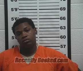 Recent Booking / Mugshot for SHABREA LESHELLE PATTERSON in Belmont ...