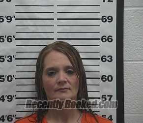 Recent Booking / Mugshot for ANGELA NICOLE BURRIS in Belmont County, Ohio