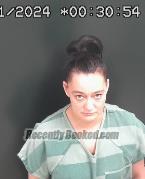 Recent Booking / Mugshot for JENNIFER LYNN FREEMAN in Brown County, Ohio