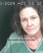 Recent Booking / Mugshot for MICHELLE LYNN SCHUSTER in Brown County, Ohio