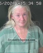 Recent Booking / Mugshot for DIANA JEAN HEDRICK in Brown County, Ohio