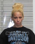 Recent Booking / Mugshot for SANDRA DANIELLE BROWN in Butler County, Ohio