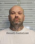 Recent Booking / Mugshot for MICHAEL SHANE ELLIS SR in Butler County, Ohio