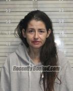 Recent Booking / Mugshot for VANESSA LYNN BROOKS in Butler County, Ohio