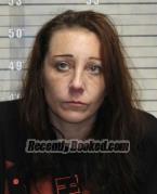 Recent Booking / Mugshot for ERIN LEE MINNICK in Butler County, Ohio