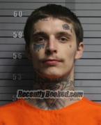 Recent Booking / Mugshot for NATHANIEL S FIELDS in Butler County, Ohio