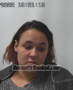 Recent Booking / Mugshot for LARISSA LESHA DODGE in Champaign County, Ohio