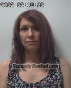 Recent Booking / Mugshot for SARAH ELIZABETH RILEY in Champaign County ...