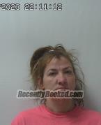 Recent Booking / Mugshot for JERI DEE GRIFFITH in Champaign County, Ohio