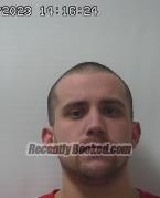 Recent Booking / Mugshot for DUSTIN KEITH JOHNSON in Champaign County, Ohio