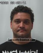 Recent Booking / Mugshot for MICHAEL LYNN SISLER in Champaign County, Ohio