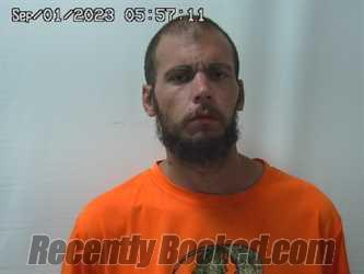 Recent Booking / Mugshot for TYSON HAHN in Champaign County, Ohio
