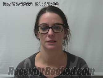 Recent Booking / Mugshot for CRYSTAL CARDOSI in Champaign County, Ohio