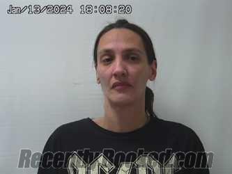 Recent Booking / Mugshot for JESSICA DODGE in Champaign County, Ohio