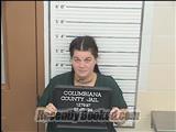 Recent Booking / Mugshot for AMANDA JUNE HARRIS in Columbiana County, Ohio