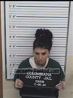 Recent Booking / Mugshot for ROBYN M WORNOFF in Columbiana County, Ohio