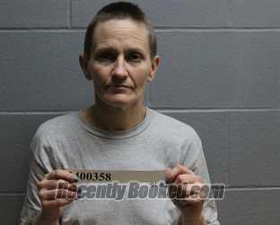 Recent Booking / Mugshot for DANIELLE ERIN HUBBLE in Coshocton County, Ohio