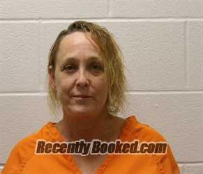 Recent Booking / Mugshot for LYN ANDREA UNGER in Coshocton County, Ohio