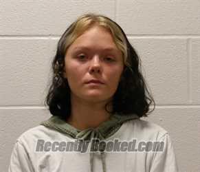 JESSICA MAKELLE MCGUIRE Arrest Record & Booking Info – Coshocton County ...