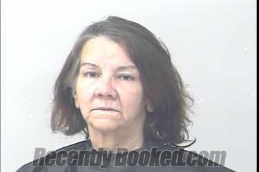 Recent Booking / Mugshot for Michelle Lewis in St Lucie County, Florida