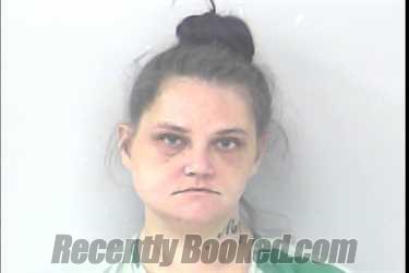 Recent Booking / Mugshot for Caitlyn Rose Phelps in St Lucie County ...