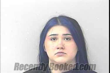 Recent Booking / Mugshot for Savannah Christine Wright in St Lucie County, Florida