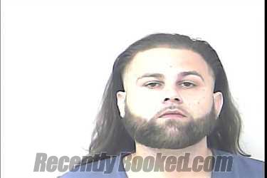 Recent Booking / Mugshot for Michael Anthony Mallin in St Lucie County ...