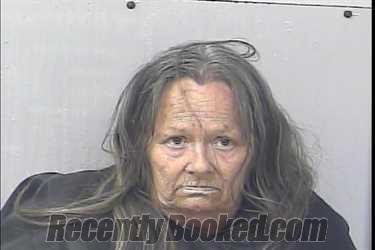 Recent Booking / Mugshot for Teresa Ann Sparling in St Lucie County ...